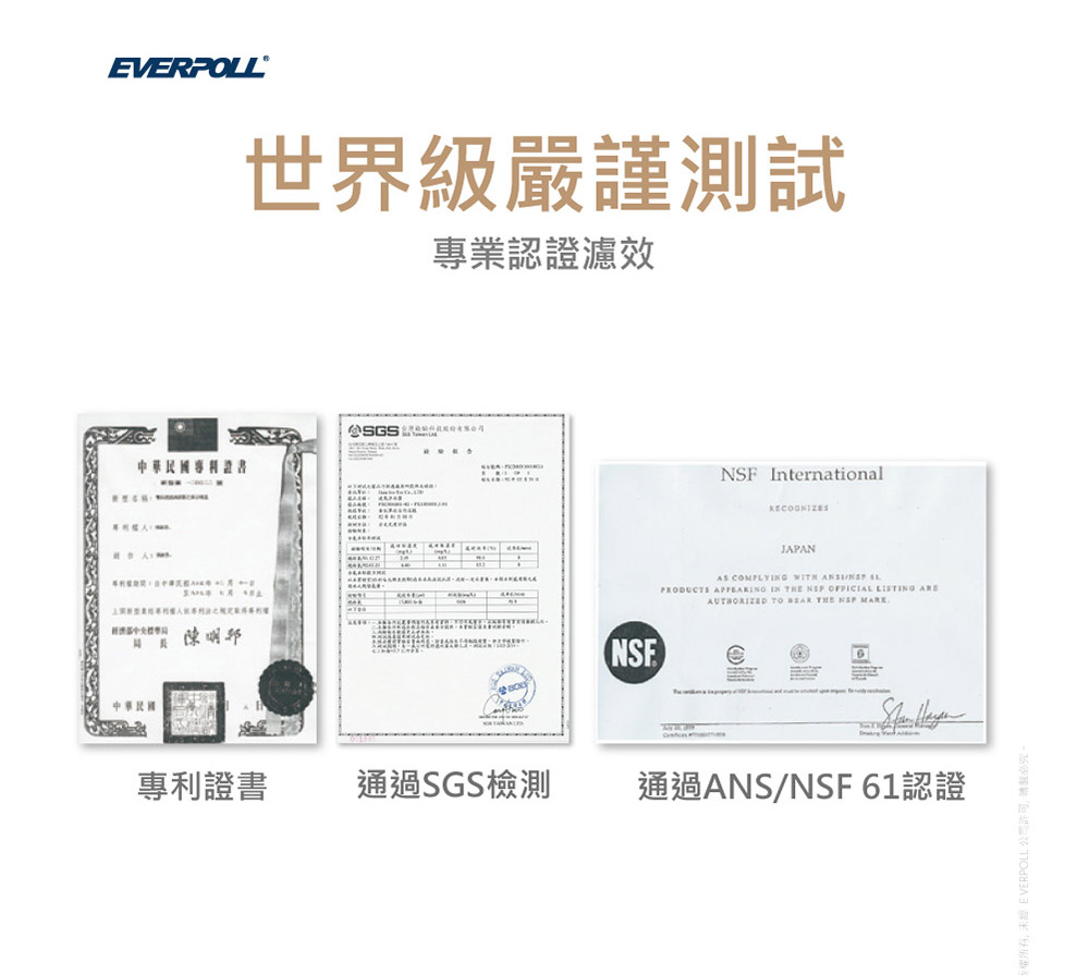 愛科濾淨 EVERPOLL MK809 微分子SPA沐浴器 MK-809 - 省錢王 廚具淨水科技生活館