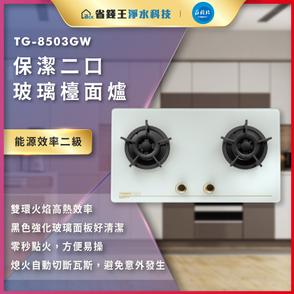 莊頭北 TG8503GW 保潔二口玻璃檯面爐 TG-8503GW - 省錢王 淨水廚具科技驗屋-歡迎比價不吃虧